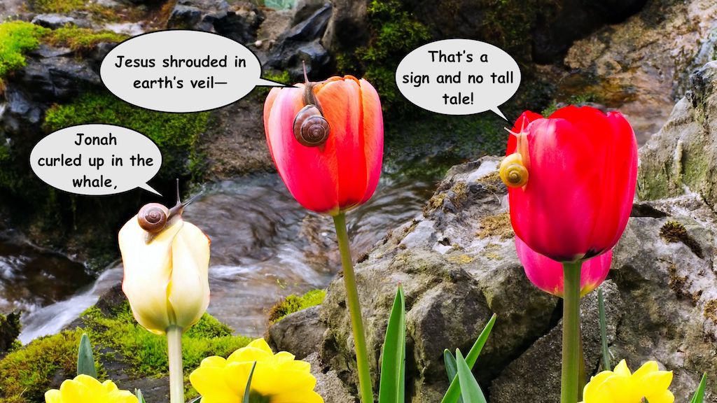 Jonah and Jesus - Shalom Snail