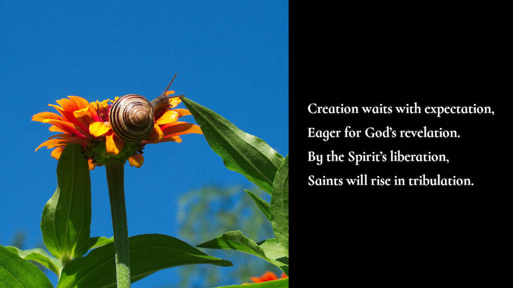 Planetary Peace - Shalom Snail