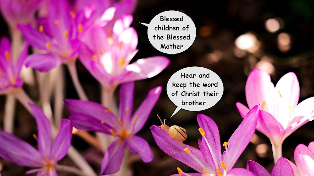 True Blessedness - Shalom Snail