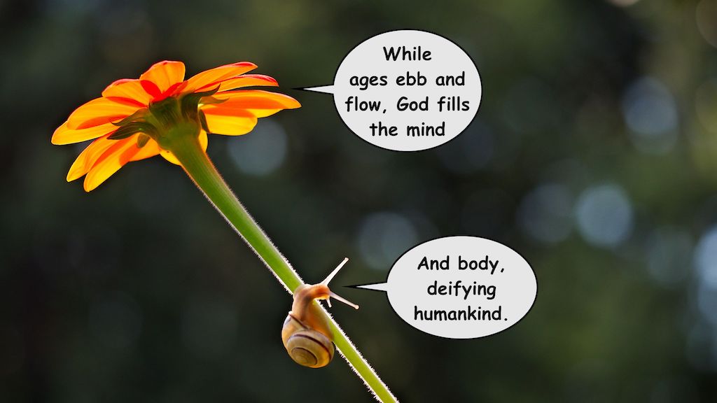 Filled With God - Shalom Snail