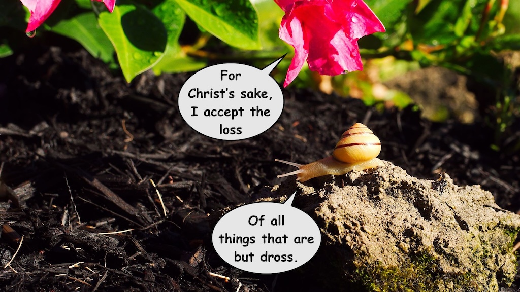 Compared With Christ, All Else is Rubbish - Shalom Snail