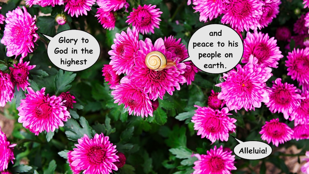 Glory to God in the Highest - Shalom Snail