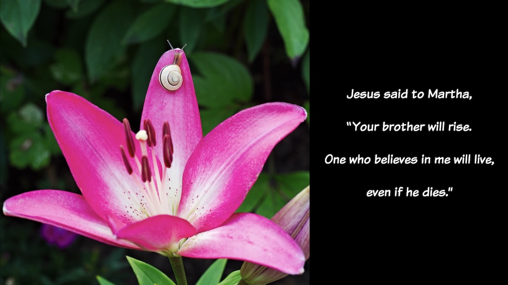 Saints Martha, Mary, and Lazarus - Shalom Snail