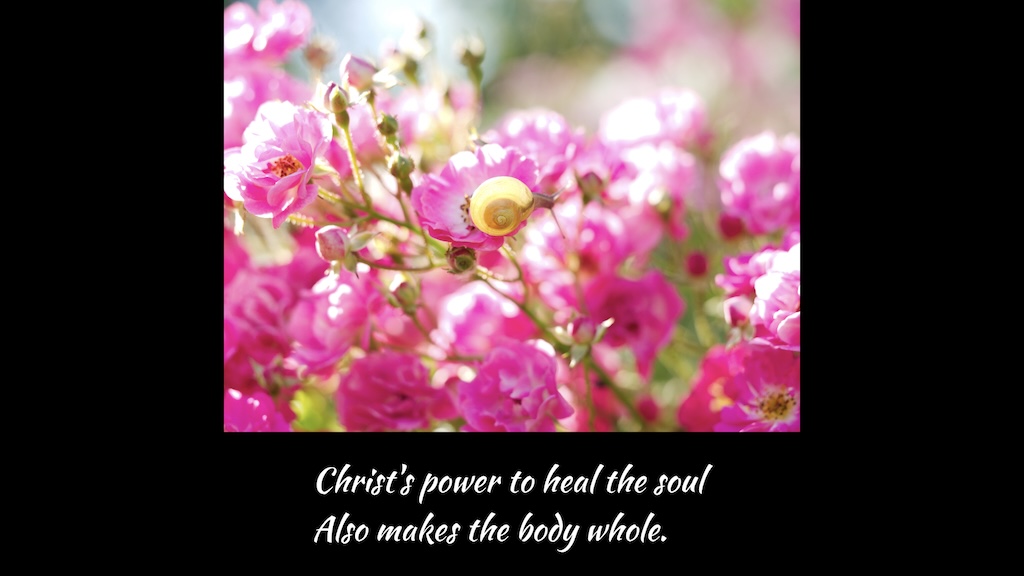 Christ Makes Us Whole - Shalom Snail