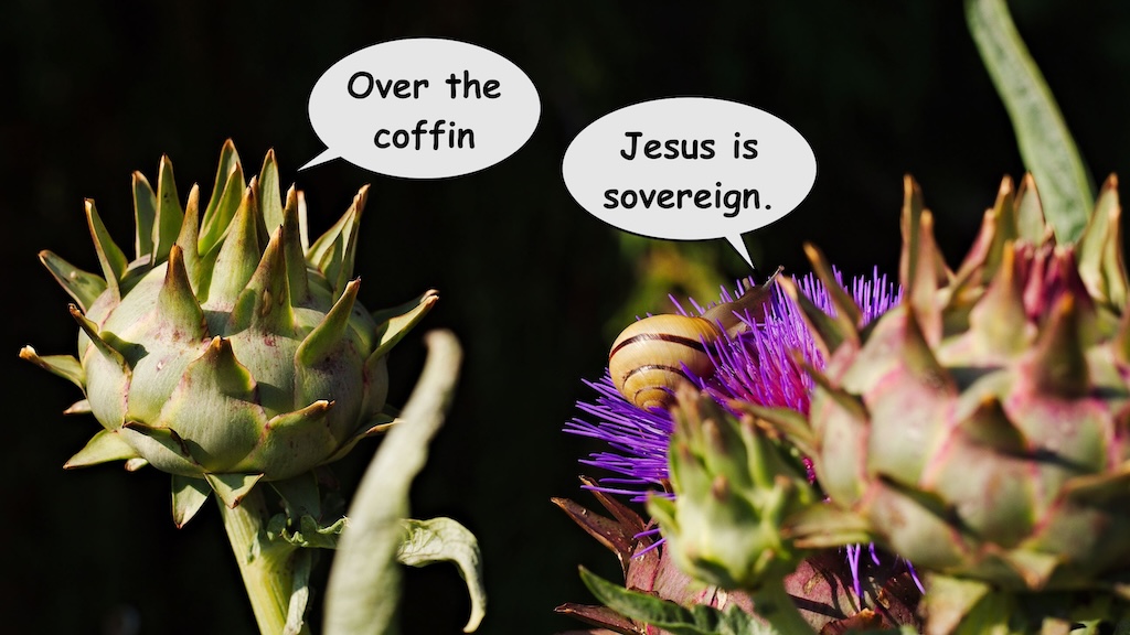 Jesus Raises the Son of the Widow of Nain - Shalom Snail